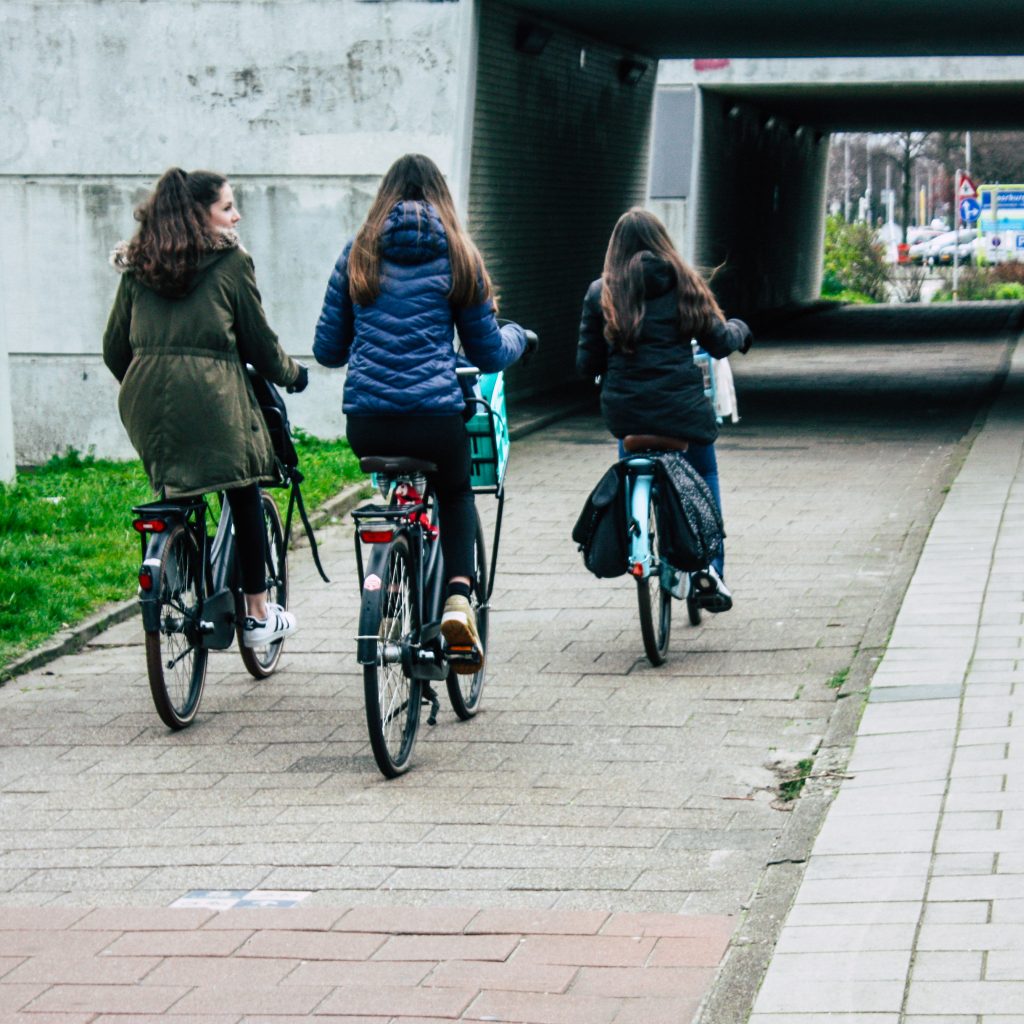 Bicisenda en el Paseo de la Costa- SeguroBici